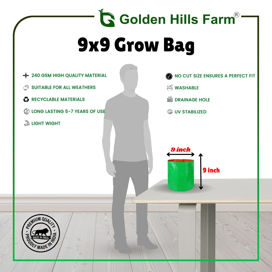 Buy Best Quality Small Size 9x9 HDPE Grow Bag - Ideal for Home and ...
